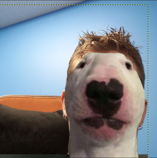 Linus Nelson | Linus Selfie | Know Your Meme