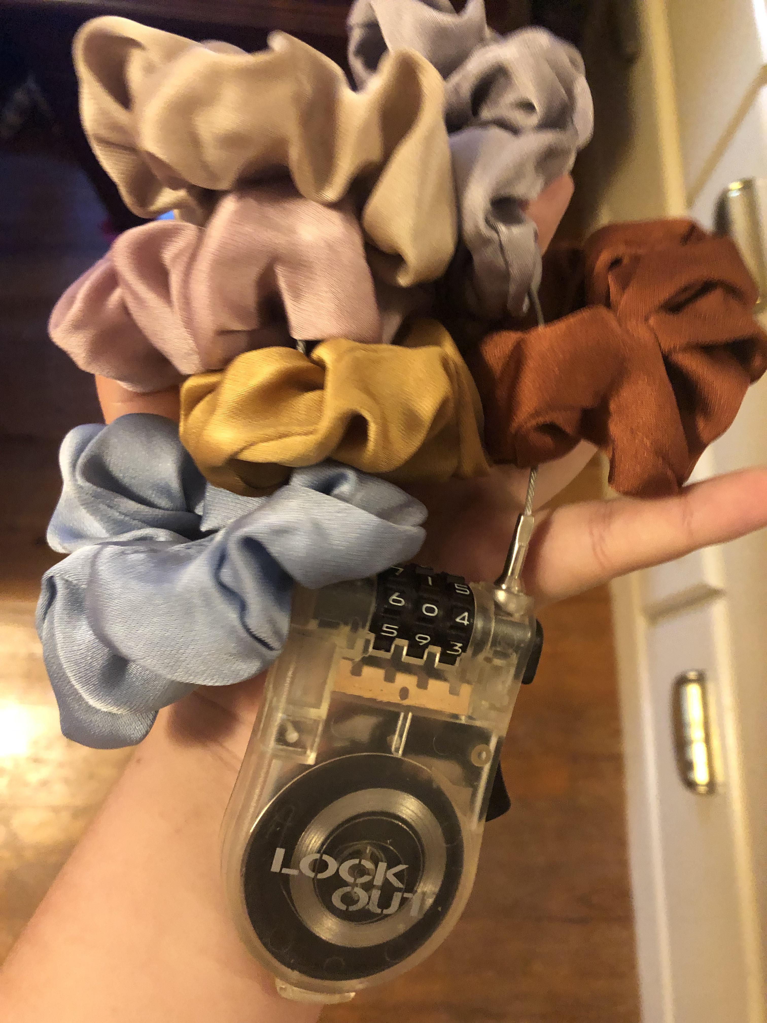 My sister really doesn’t want me to take her scrunchies. | r ...
