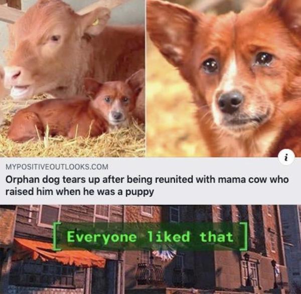 Excuse me, can you moooove so I can get a tissue. | r/wholesomememes ...