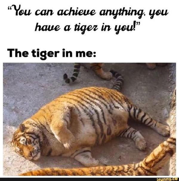 My inner tiger | Cats | Know Your Meme