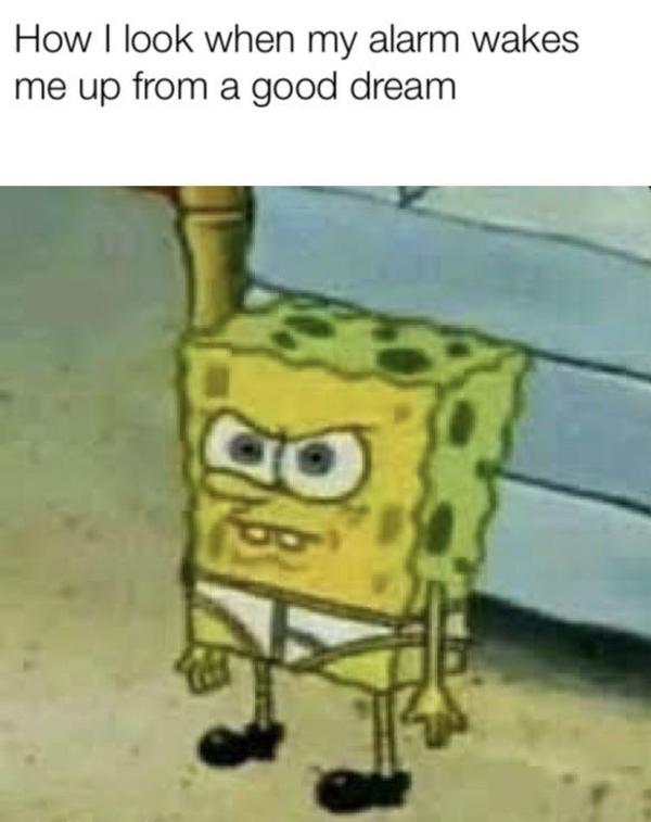 Every damn time | r/BikiniBottomTwitter | SpongeBob SquarePants | Know ...