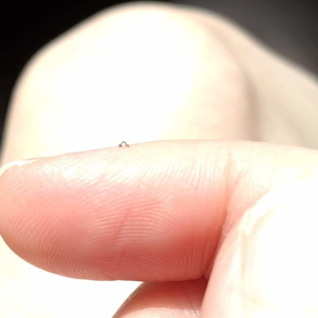World's Smallest Inchworm | r/mildlyinteresting | Mildly Interesting ...