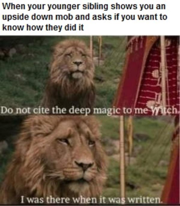 Dinnerbone | r/MinecraftMemes | Minecraft | Know Your Meme