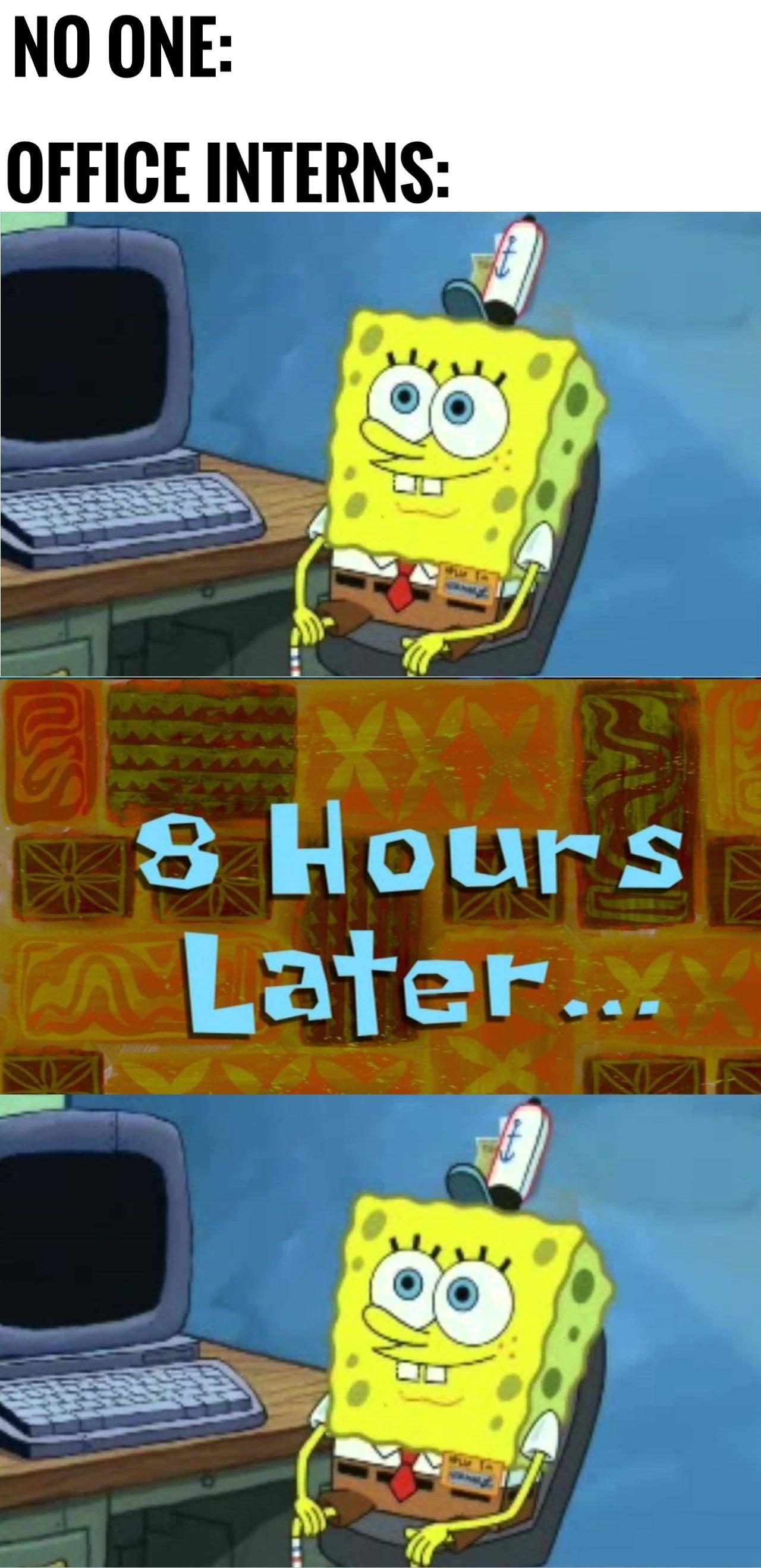 Office interns | r/BikiniBottomTwitter | SpongeBob SquarePants | Know ...