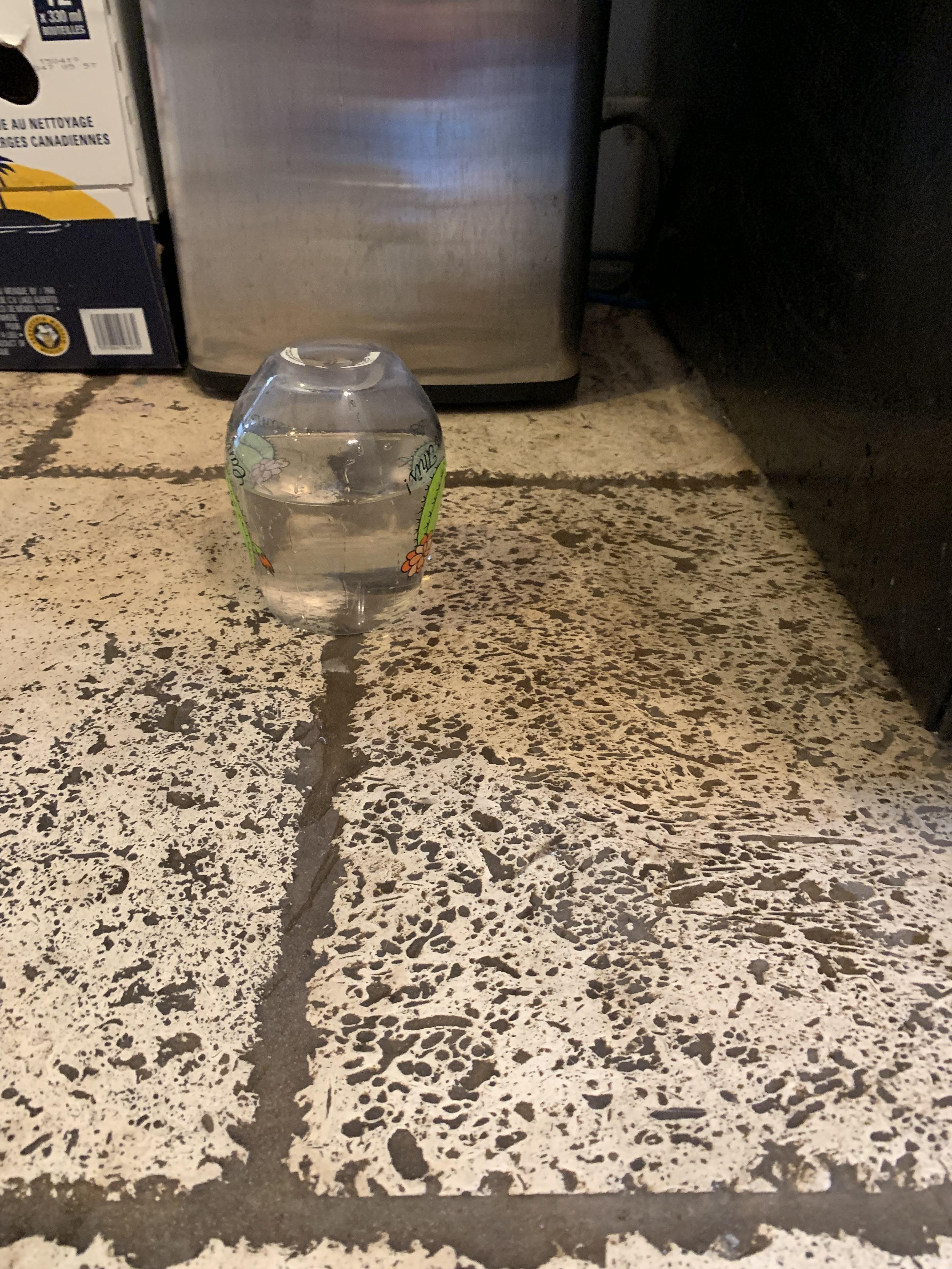 My son dropped his cup after filling it with water and managed to land ...