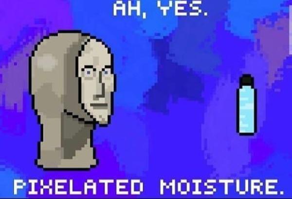 Pixelated Moisture | Enslaved Moisture | Know Your Meme