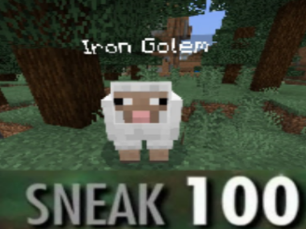 I'm Confused... | r/MinecraftMemes | Minecraft | Know Your Meme