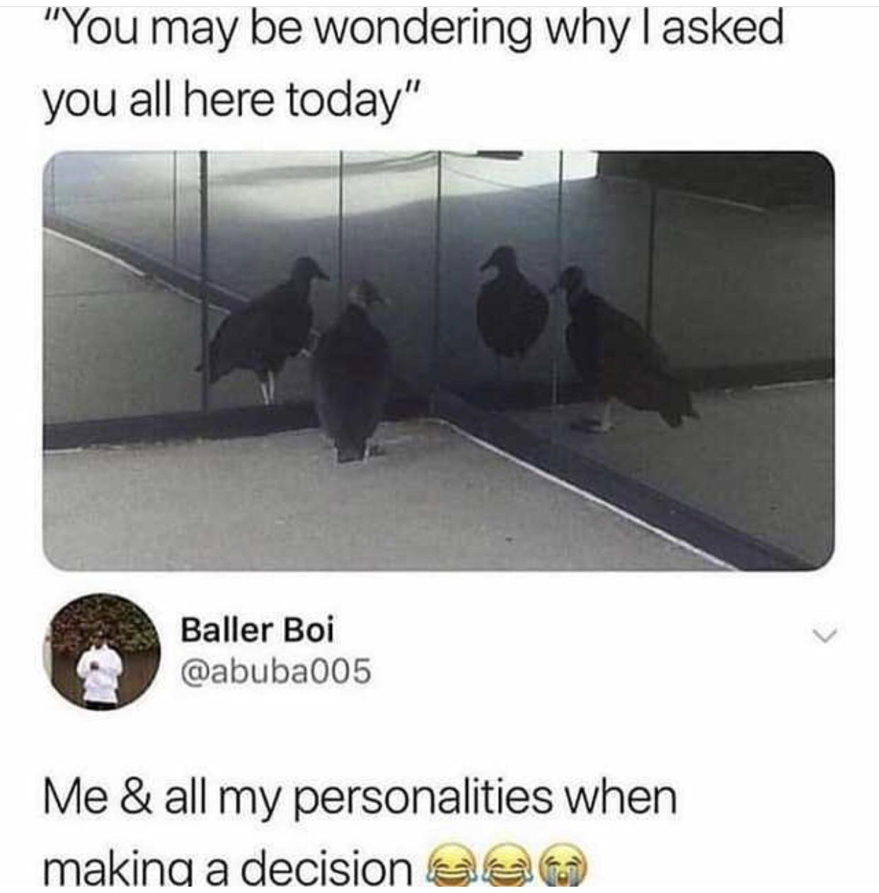 nice | r/Memes_Of_The_Dank | Birds | Know Your Meme