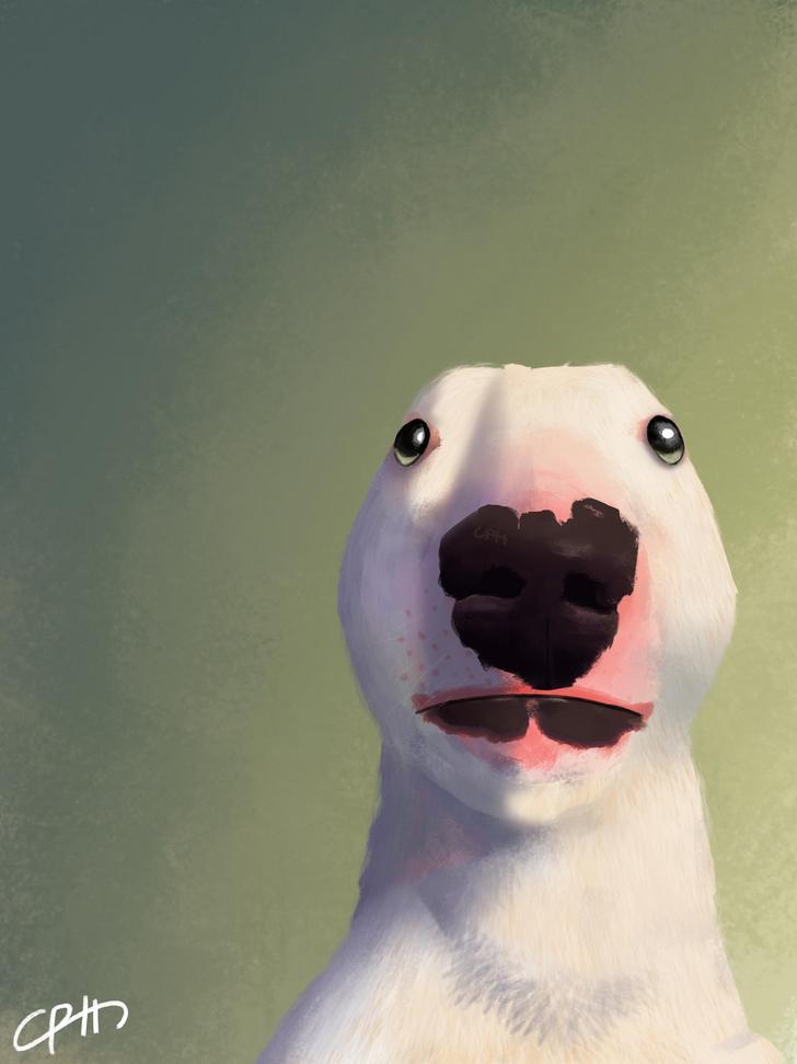 funny dog drawig 2 | r/okbuddyretard | OkBuddyRetard | Know Your Meme