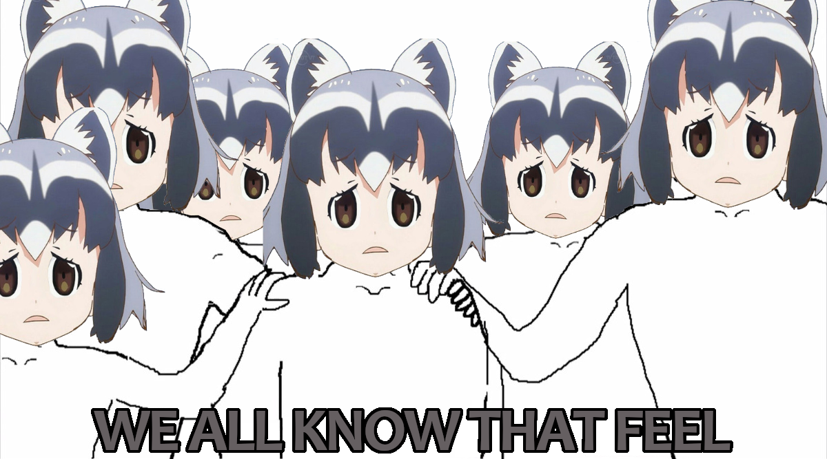 WE ALL KNOW THAT FEEL | Kemono Friends | Know Your Meme