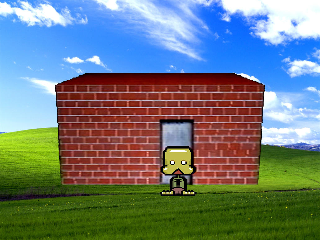 Windows XP Plane | Petscop | Know Your Meme