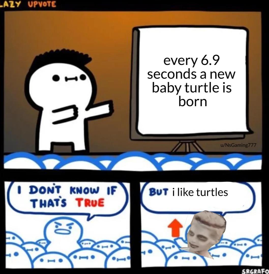 Jonathan likes turtles. (Nice) | r/wholesomememes | Wholesome Memes ...