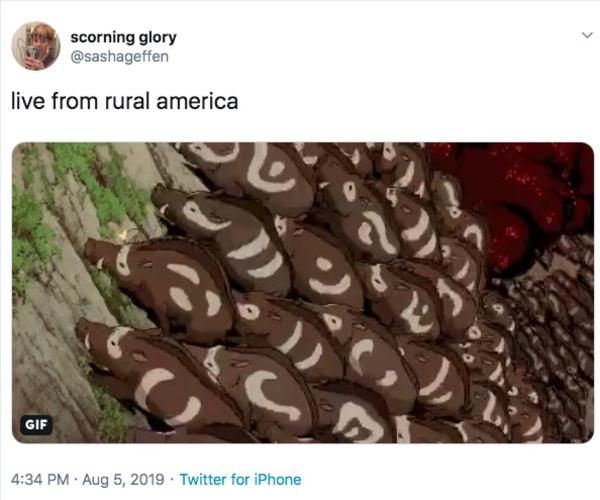 Rural America | 30-50 Feral Hogs | Know Your Meme