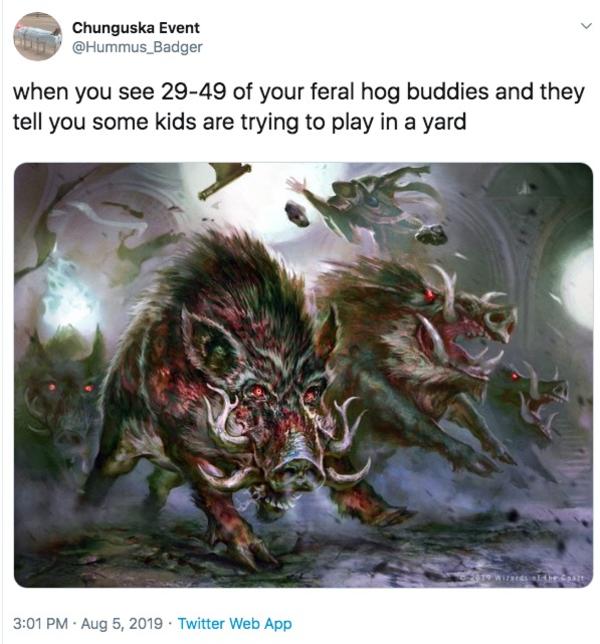 Let's Go Boys | 30-50 Feral Hogs | Know Your Meme