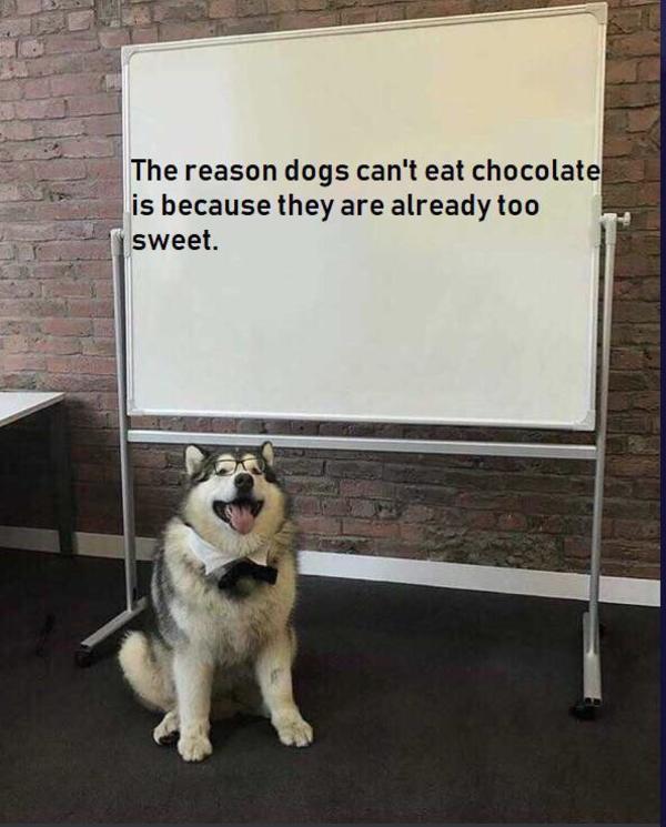 Spitting fax | r/wholesomememes | Wholesome Memes | Know Your Meme