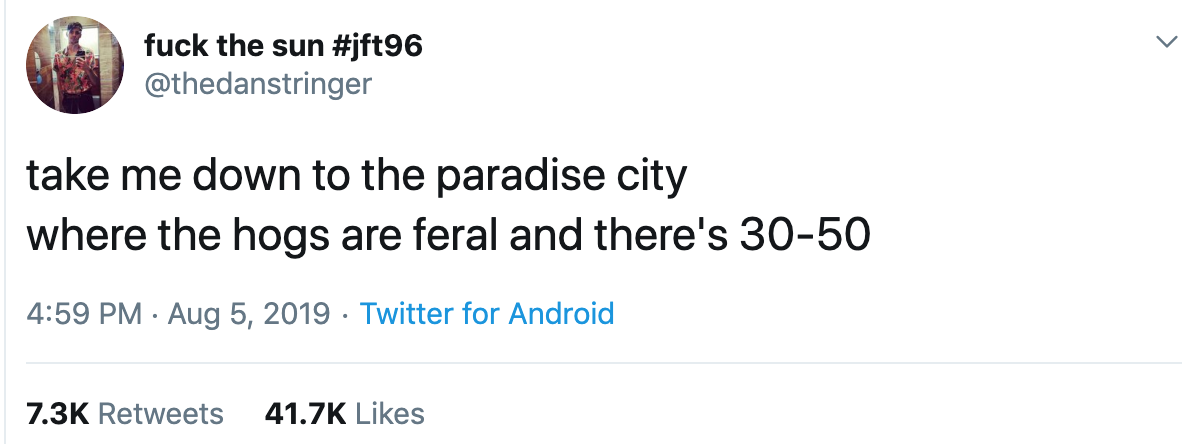 Paradise City Full of Hogs | 30-50 Feral Hogs | Know Your Meme