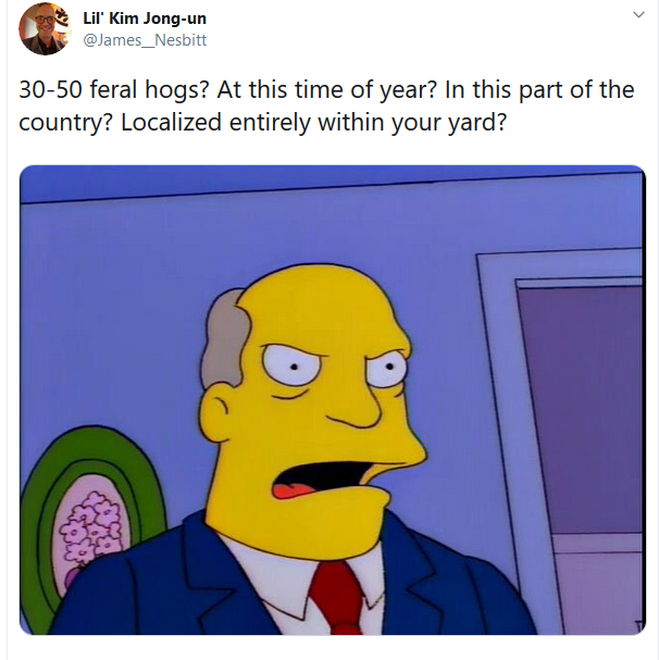 where did you think the steamed hams come from? | 30-50 Feral Hogs ...