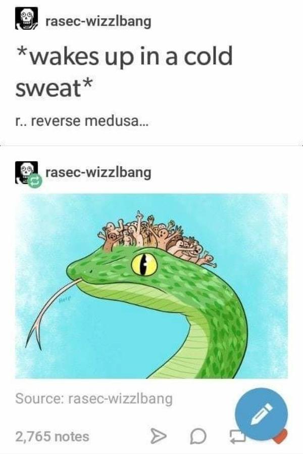 Reverse Medusa | Snakes | Know Your Meme