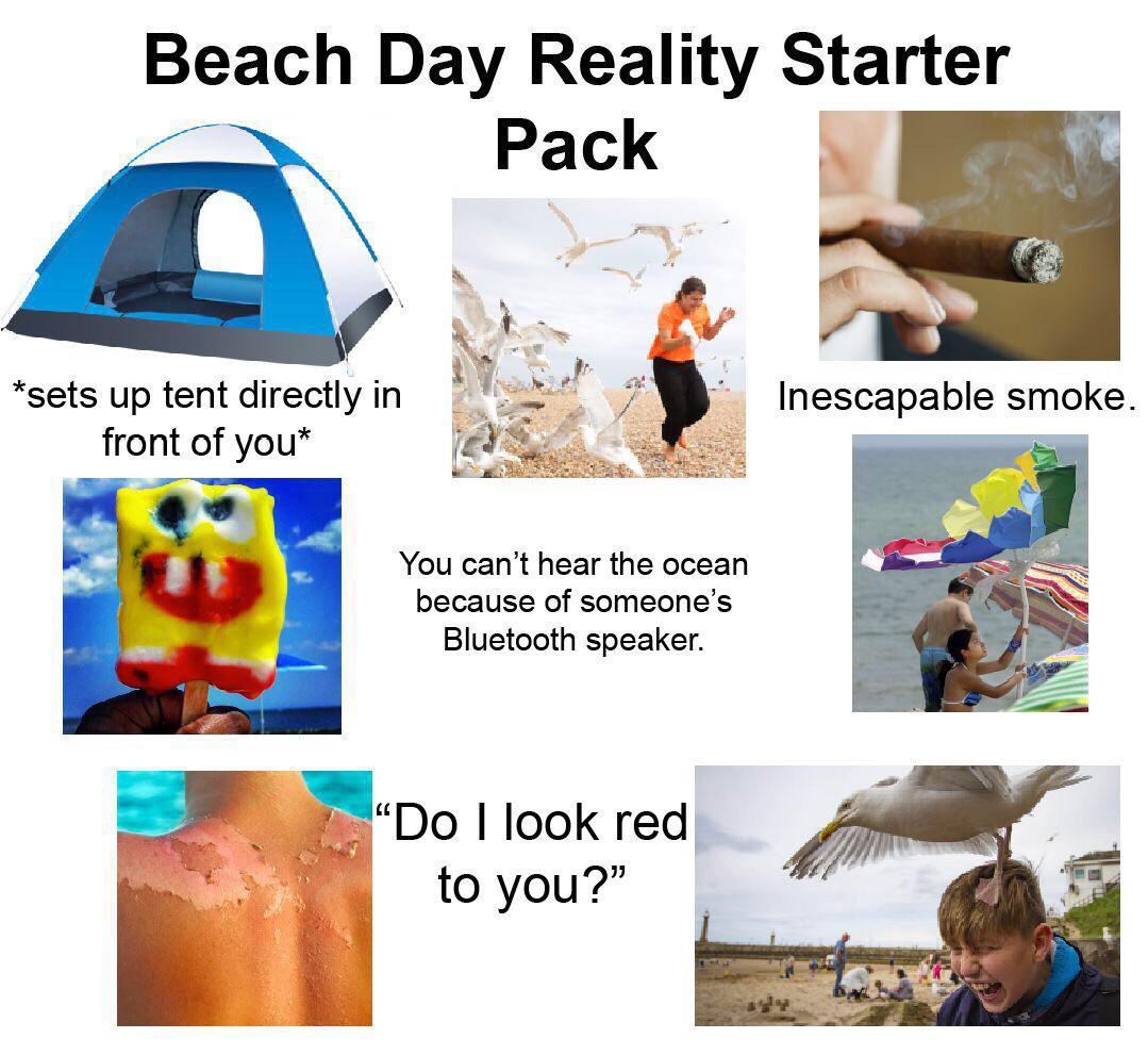 Beach Day Reality Starter Pack. | r/starterpacks | Starter Packs | Know ...