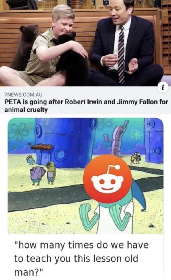 PETA Bad R dankmemes Know Your Meme PETA Bad R dankmemes Know Your Meme