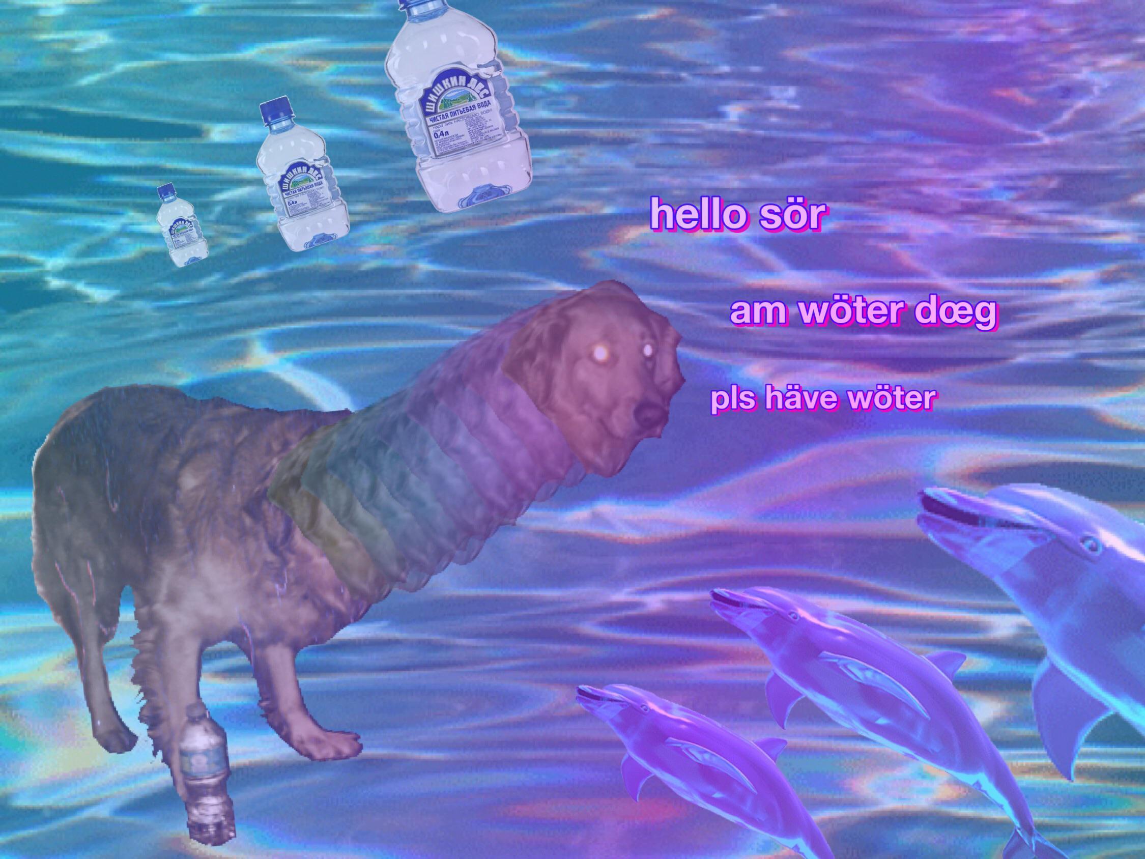 a b l e s s i n g (OC) | r/HydroHomies | Water Niggas / Hydro Homies ...