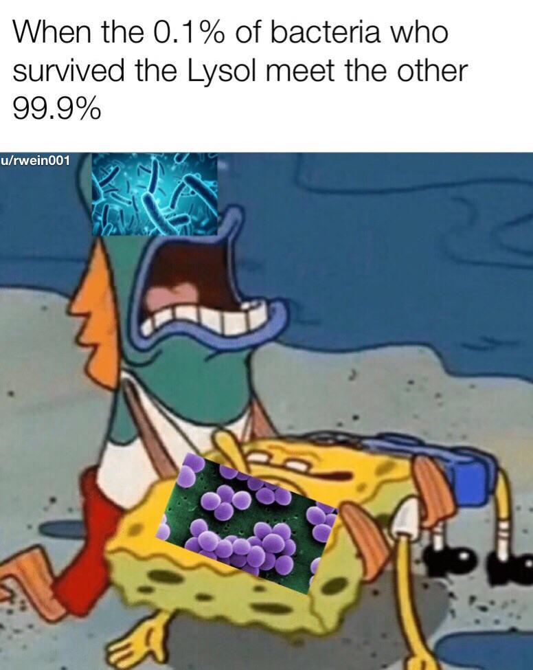 This meme has been sponsored by Lysol | r/BikiniBottomTwitter | 0.01% ...