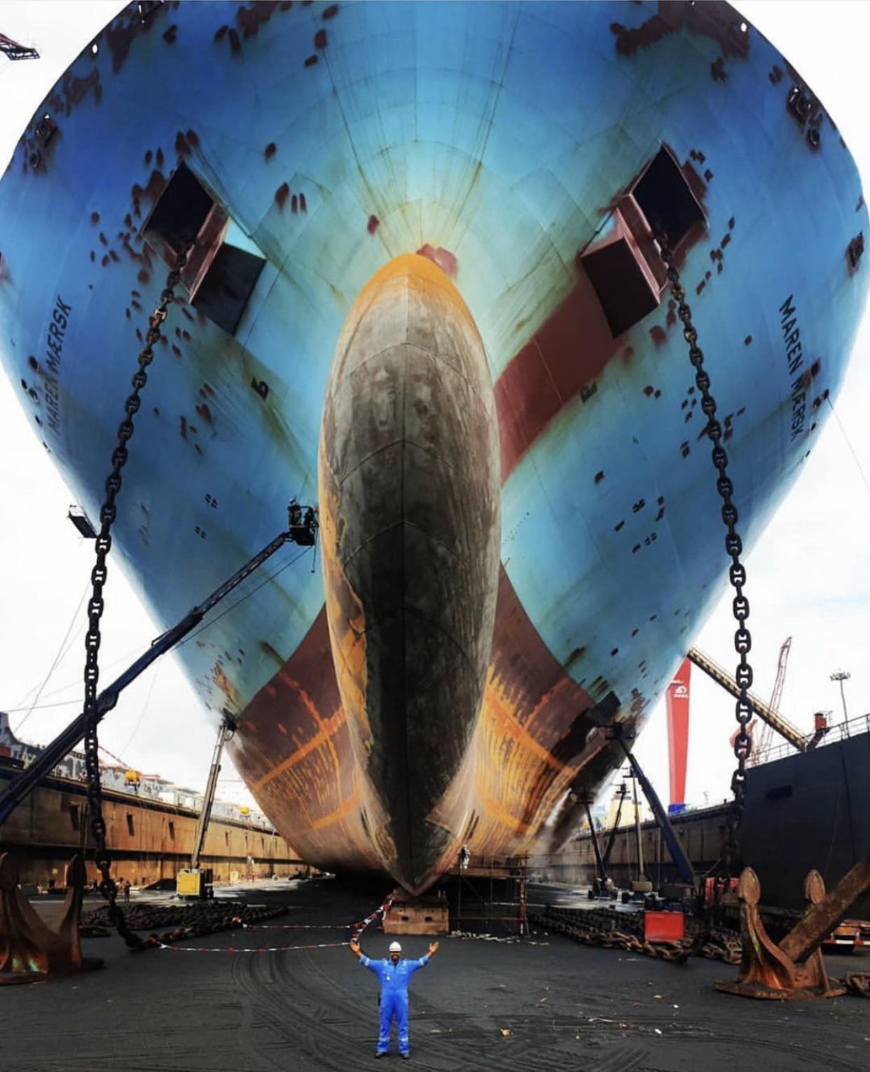 Weeping Parrot | /r/Pareidolia/ | Pareidolia | Know Your Meme