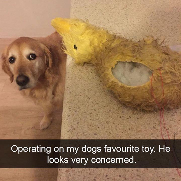 Doin me a concern | r/wholesomememes | Wholesome Memes | Know Your Meme