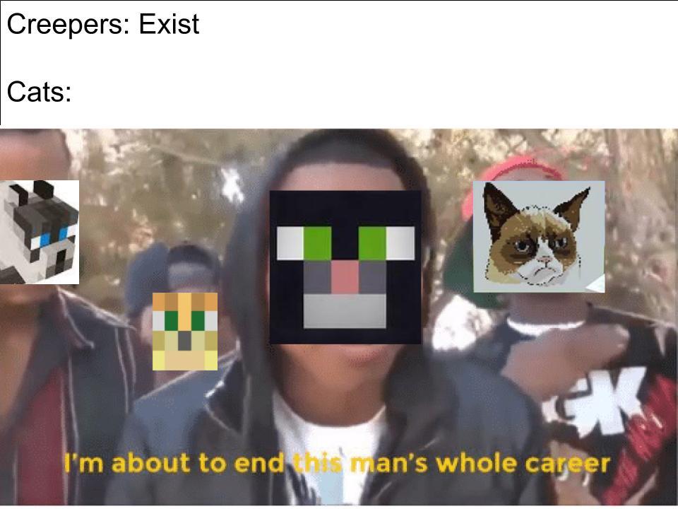 Needed a title sorry this is my first time | r/MinecraftMemes ...