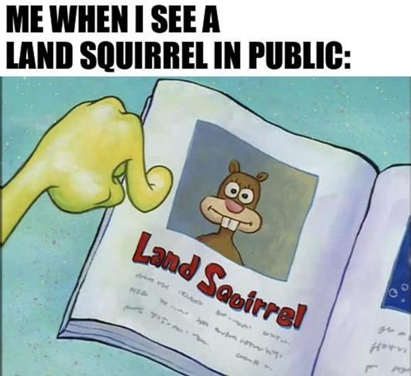 I know things about nature and outside. | r/BikiniBottomTwitter ...