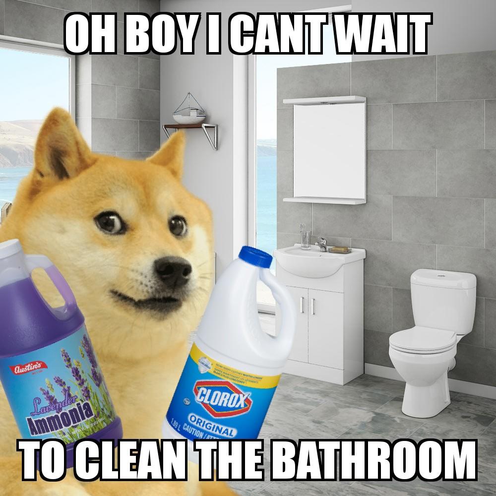 le chlorine gas has arrived | Ironic Doge Memes | Know Your Meme