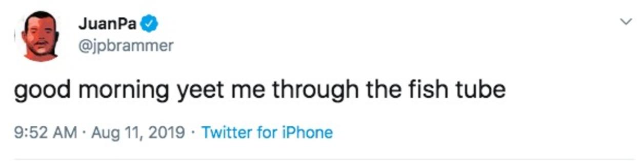 Yeet | Fish Tube | Know Your Meme