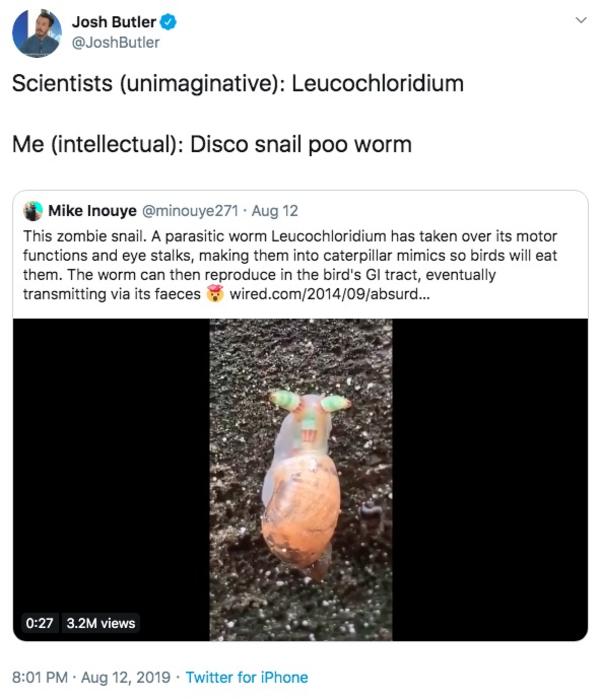 Disco Snail Poo Worm | Zombie Snail | Know Your Meme