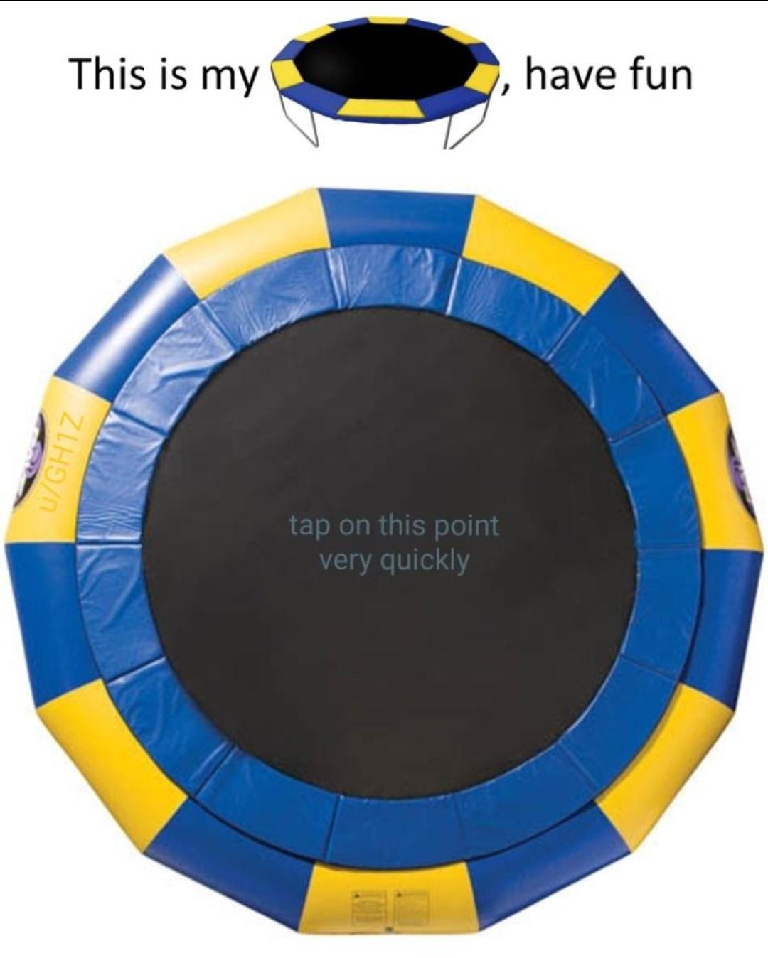 bouncy fun time | r/wholesomememes | Wholesome Memes | Know Your Meme