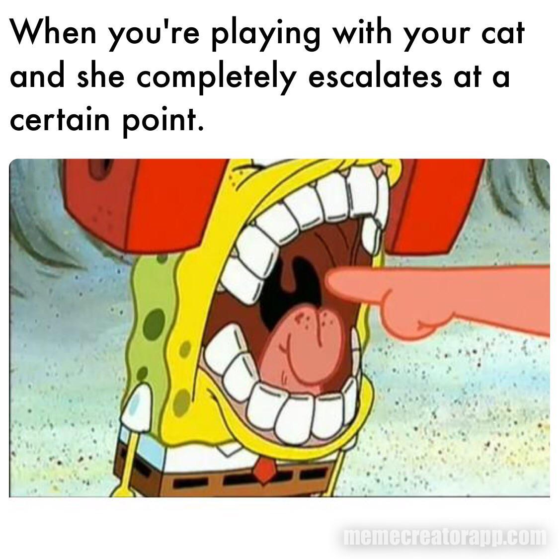 Stop biting!! | r/BikiniBottomTwitter | SpongeBob SquarePants | Know ...