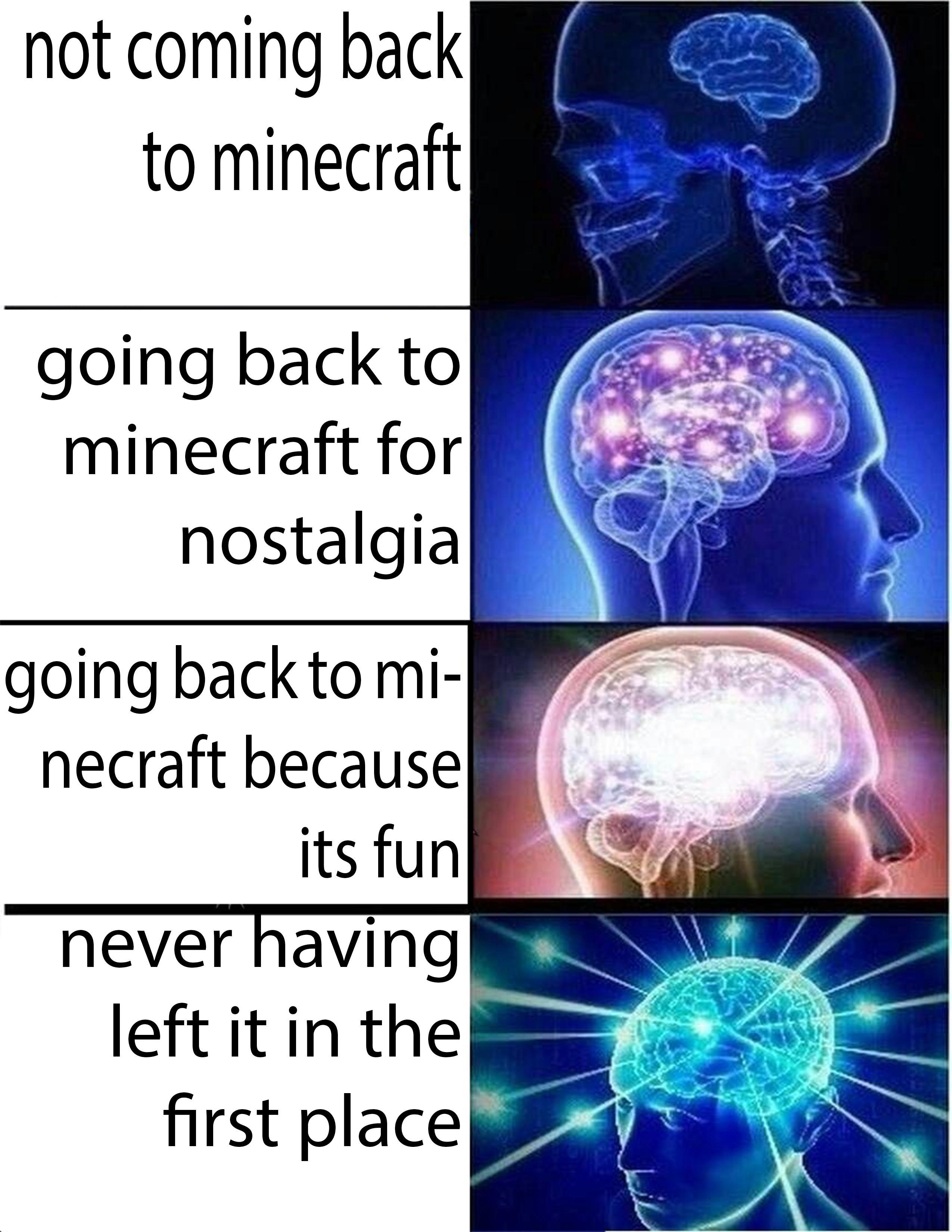 i never left | r/MinecraftMemes | Minecraft | Know Your Meme