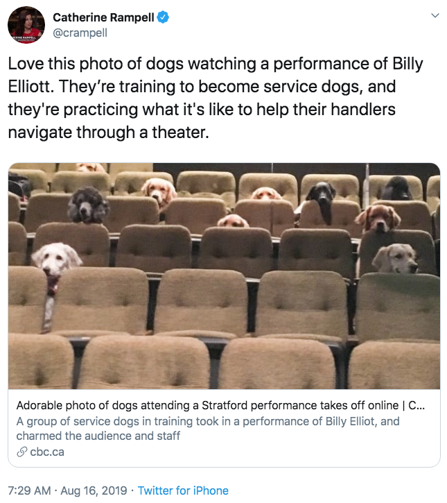 Love this photo of dogs watching a performance of Billy Elliott. They ...