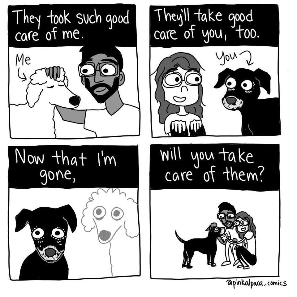 Feeling Sentimental | Dogs | Know Your Meme