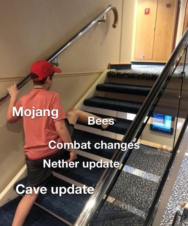 BeEs | Minecraft Bees | Know Your Meme