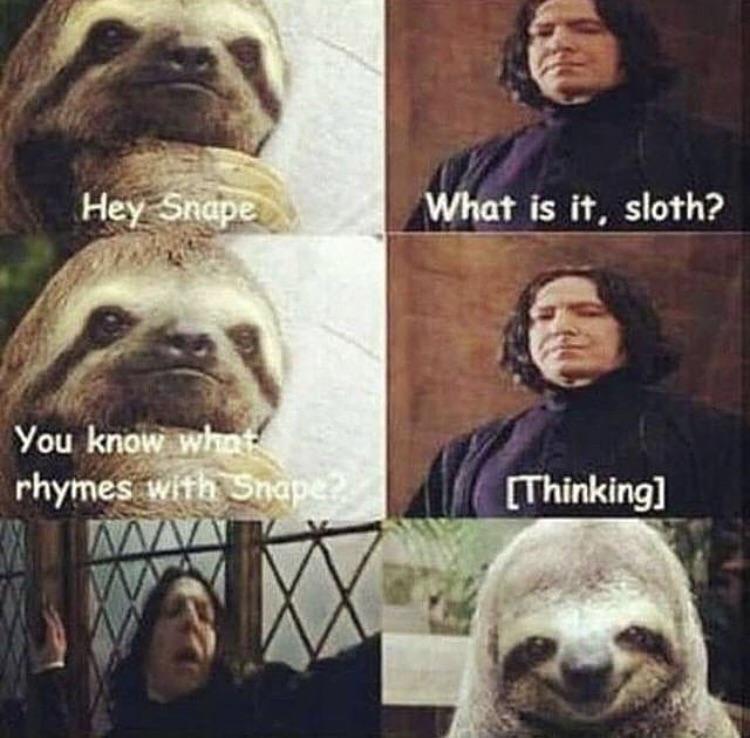 Sloth went too far... | r/ComedyCemetery | Comedy Cemetery | Know Your Meme