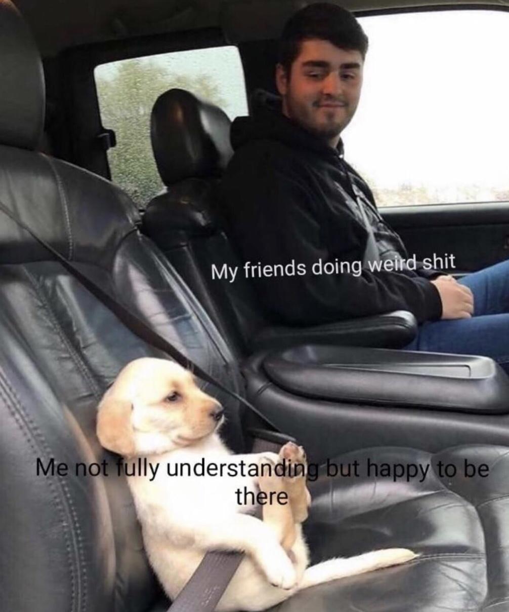 Happy to be there | r/wholesomememes | Wholesome Memes | Know Your Meme