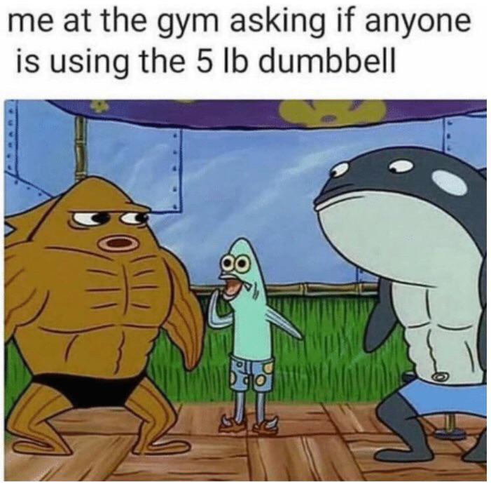 Observe | r/BikiniBottomTwitter | SpongeBob SquarePants | Know Your Meme