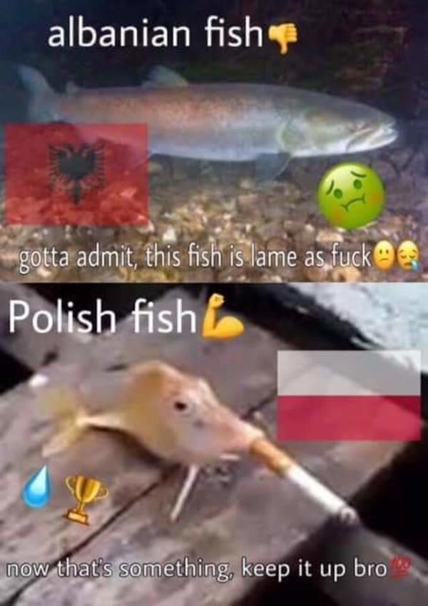 Fish | r/okbuddyretard | OkBuddyRetard | Know Your Meme