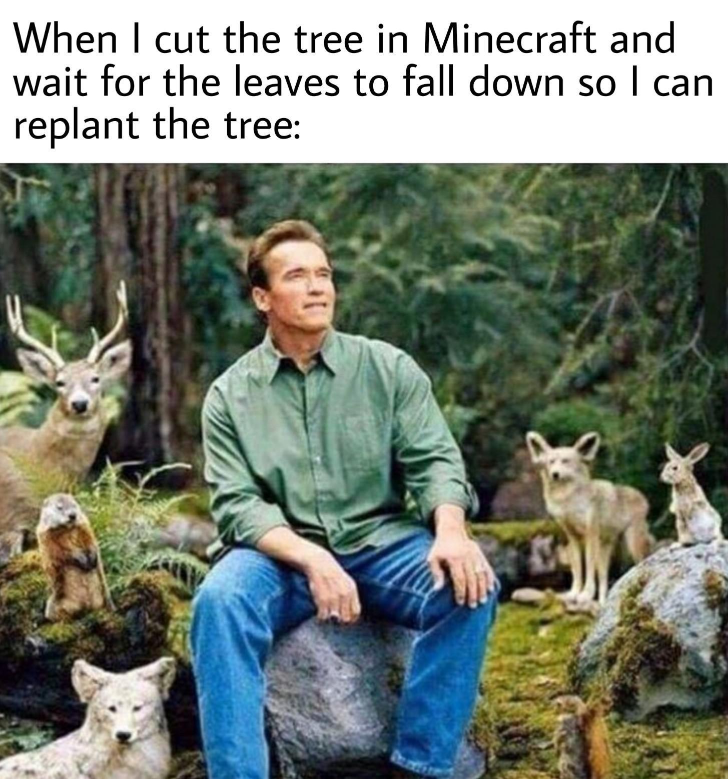 We should do this with Amazon forest | r/MinecraftMemes | Minecraft ...