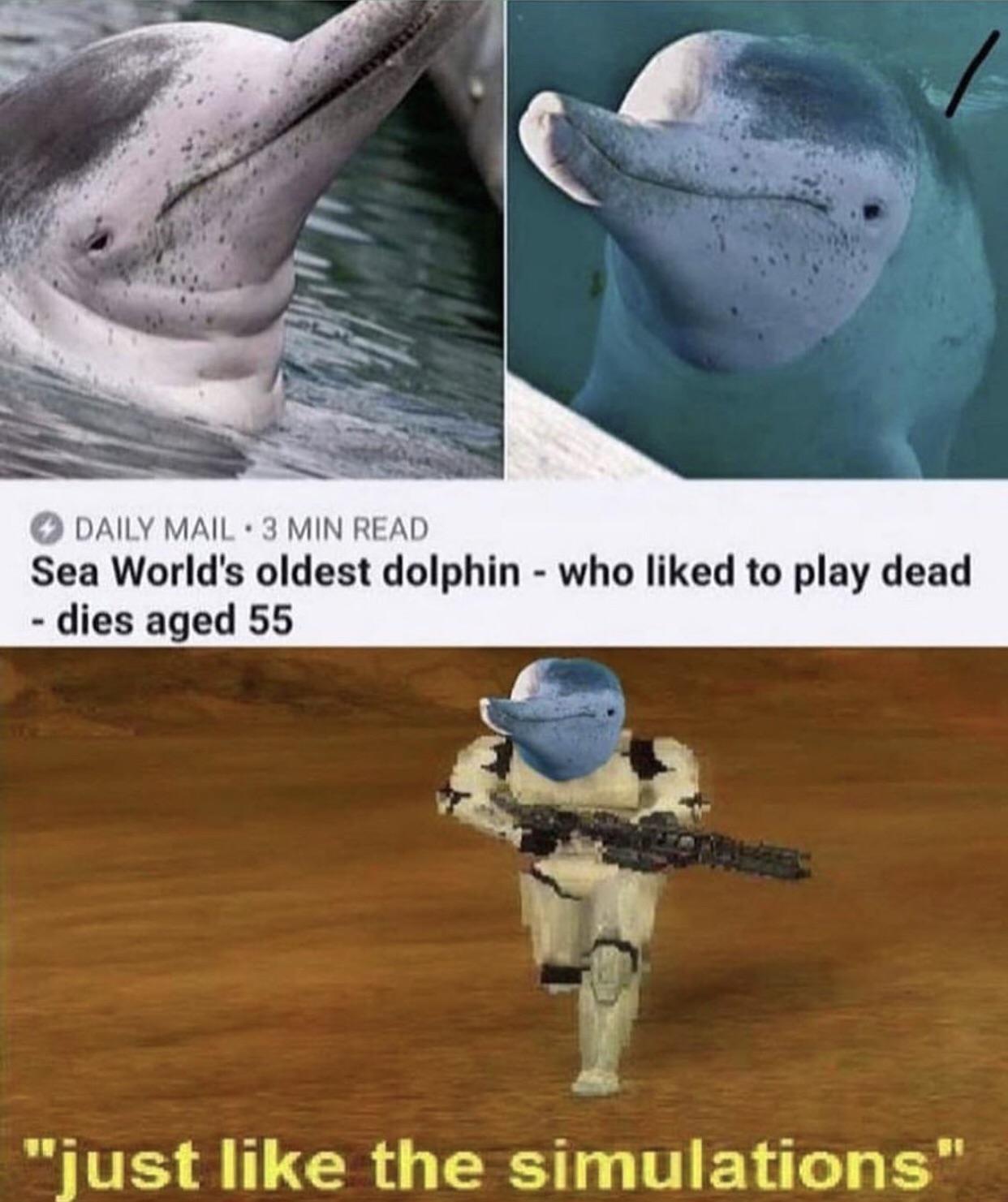 He’s... He’s just playing dead again. | r/memes | Just Like The ...