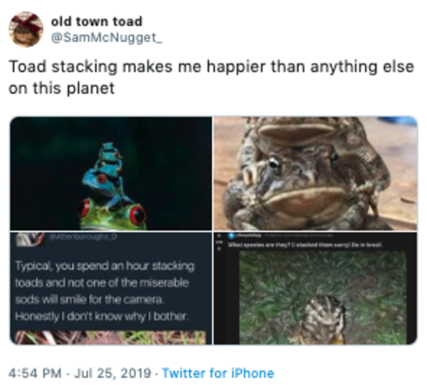 Happy | Toad Stacking | Know Your Meme