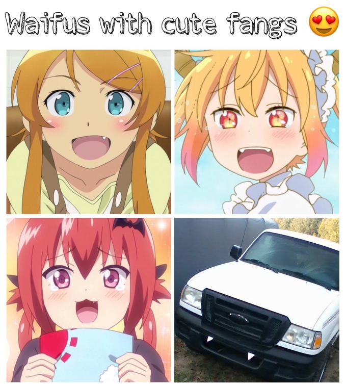 Spicy Fang Fuel | Cute Little Fang | Know Your Meme