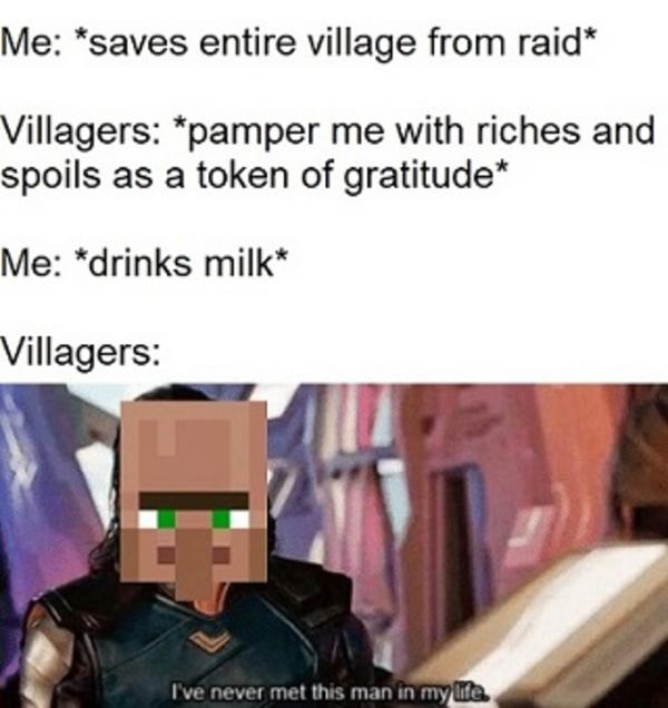 *confused hrmm* | r/MinecraftMemes | Minecraft | Know Your Meme
