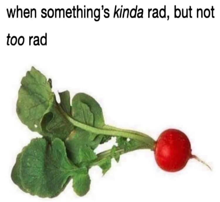 meme checkpoint 1 9/3 | Know Your Meme