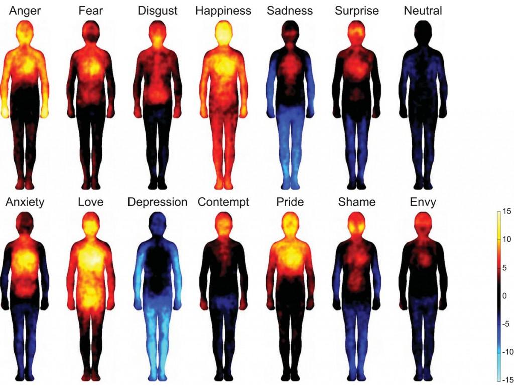 Body Atlas Origin | Depression Blue Body Scan | Know Your Meme